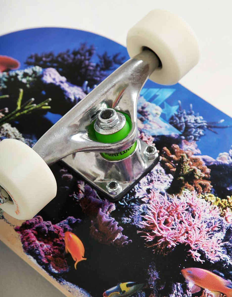MINI-LOGO FISH TANK SKATEBOARD COMPLETE 8.0" – Urban Wheelz